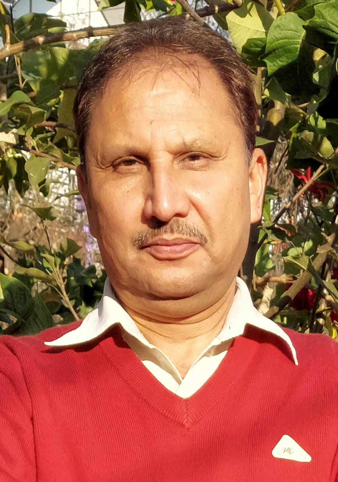 Teaching Staff | Govt. College Palampur | Himachal Pradesh